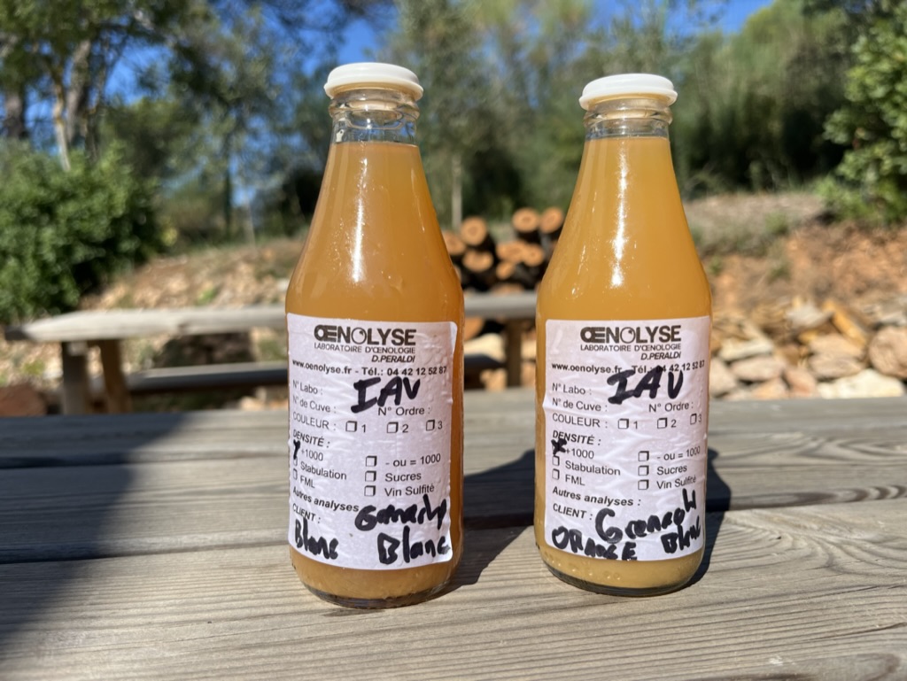 Lab Testing Wines - The American College of the Mediterranean
